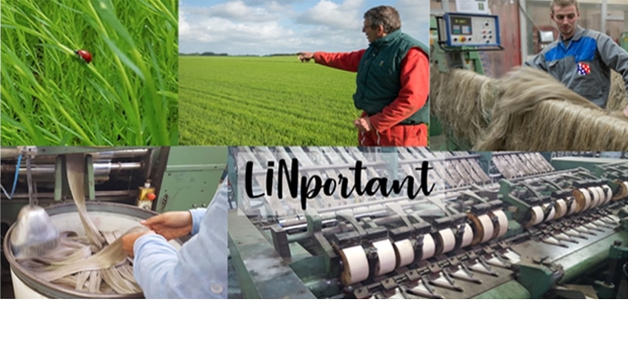 LINportant : des tee-shirts en lin bio fabriqués en Normandie | Lin et ...