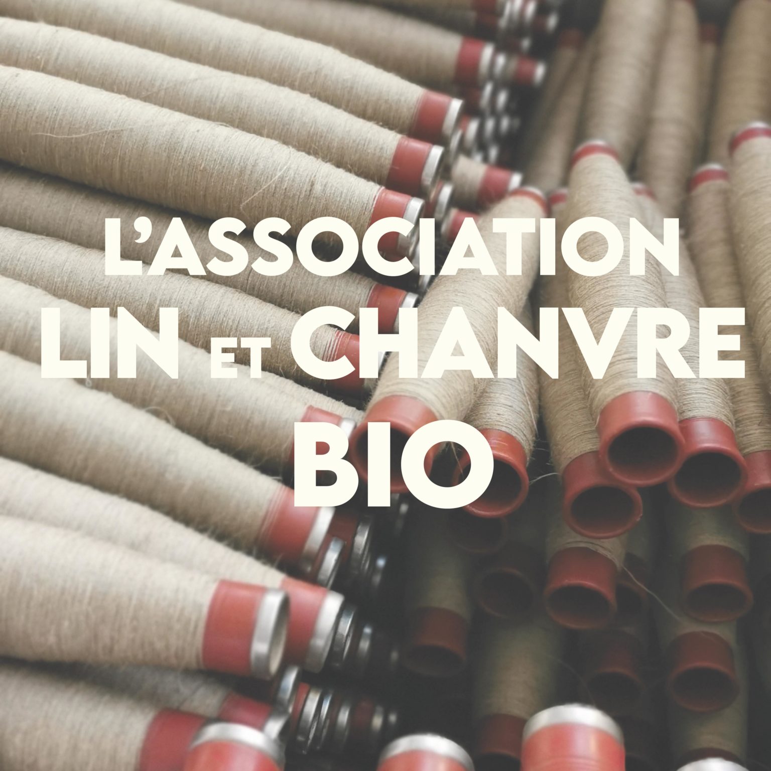 Lin et Chanvre bio | L'association des acteurs du lin et du chanvre ...