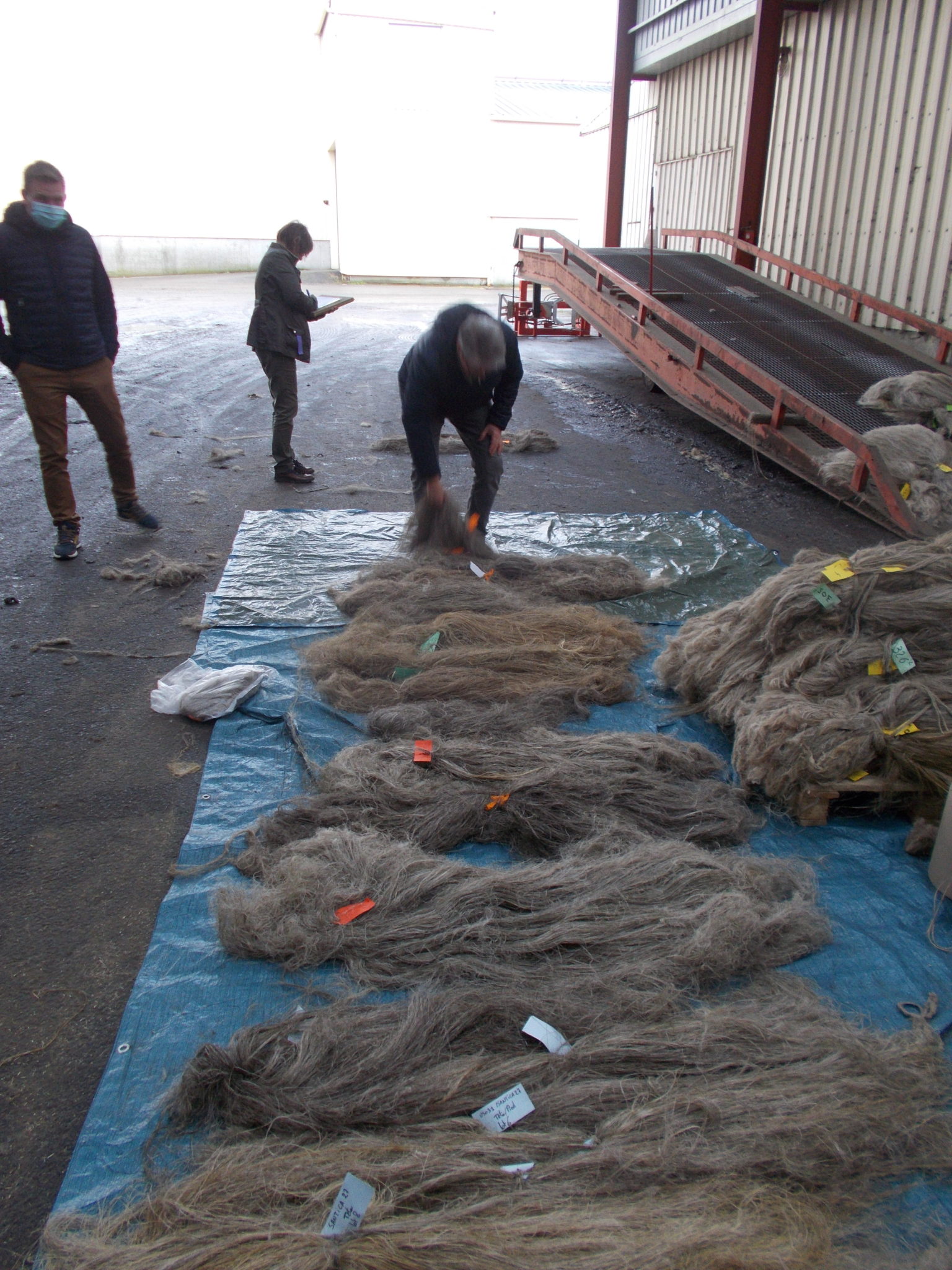 Le chanvre textile | Lin et Chanvre bio