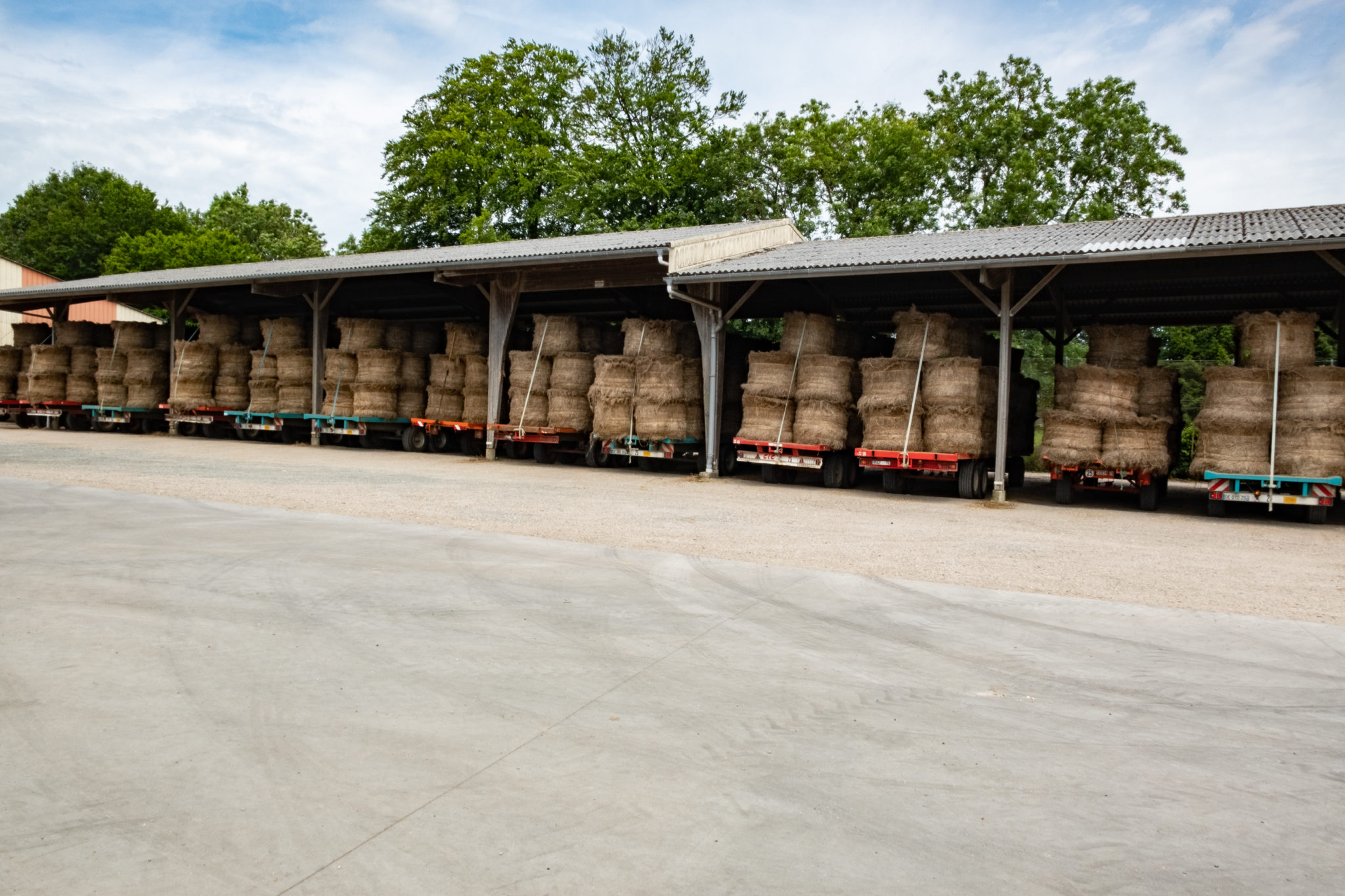 Lin textile biologique 2020 : les semis sont faits! | Lin et Chanvre bio